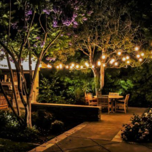 String Light Package: TIER 1 – Holidays By Maddy